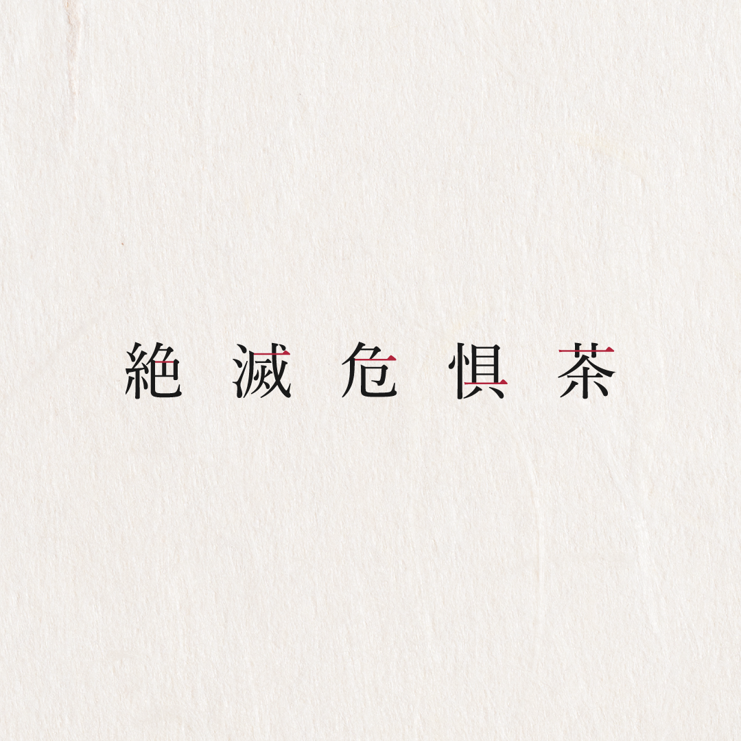 コレクション – CLASS EARTH