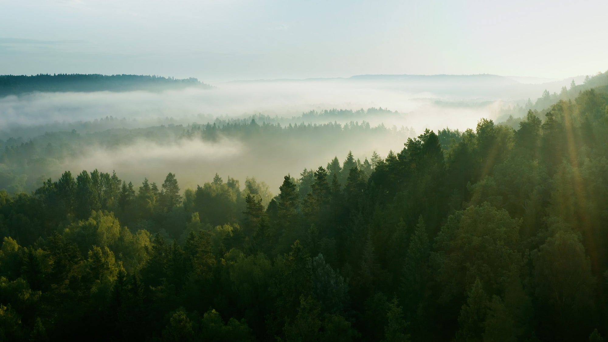 CLASS EARTH ONLINE STORE