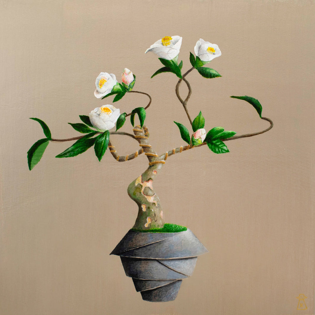 Kengo Bonsai Gallery - Principle / 軸 – CLASS EARTH